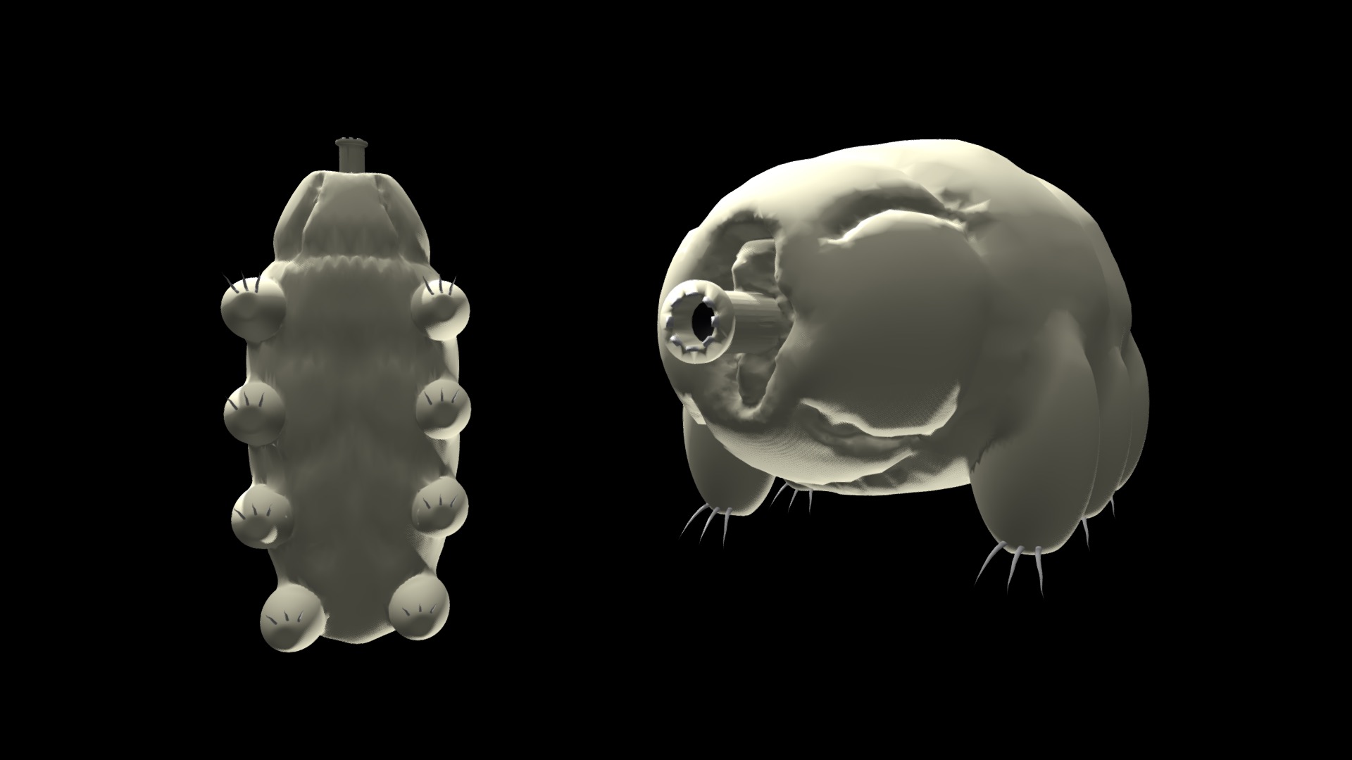 "Tardigrade" or "Water Bear" - 3D model by Mad Squid (@MadSquid ...