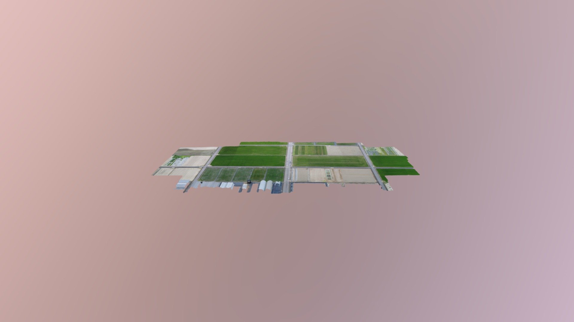 20180911 Rice 3D model - 3D model by tariremotesensing [fddbf93 ...