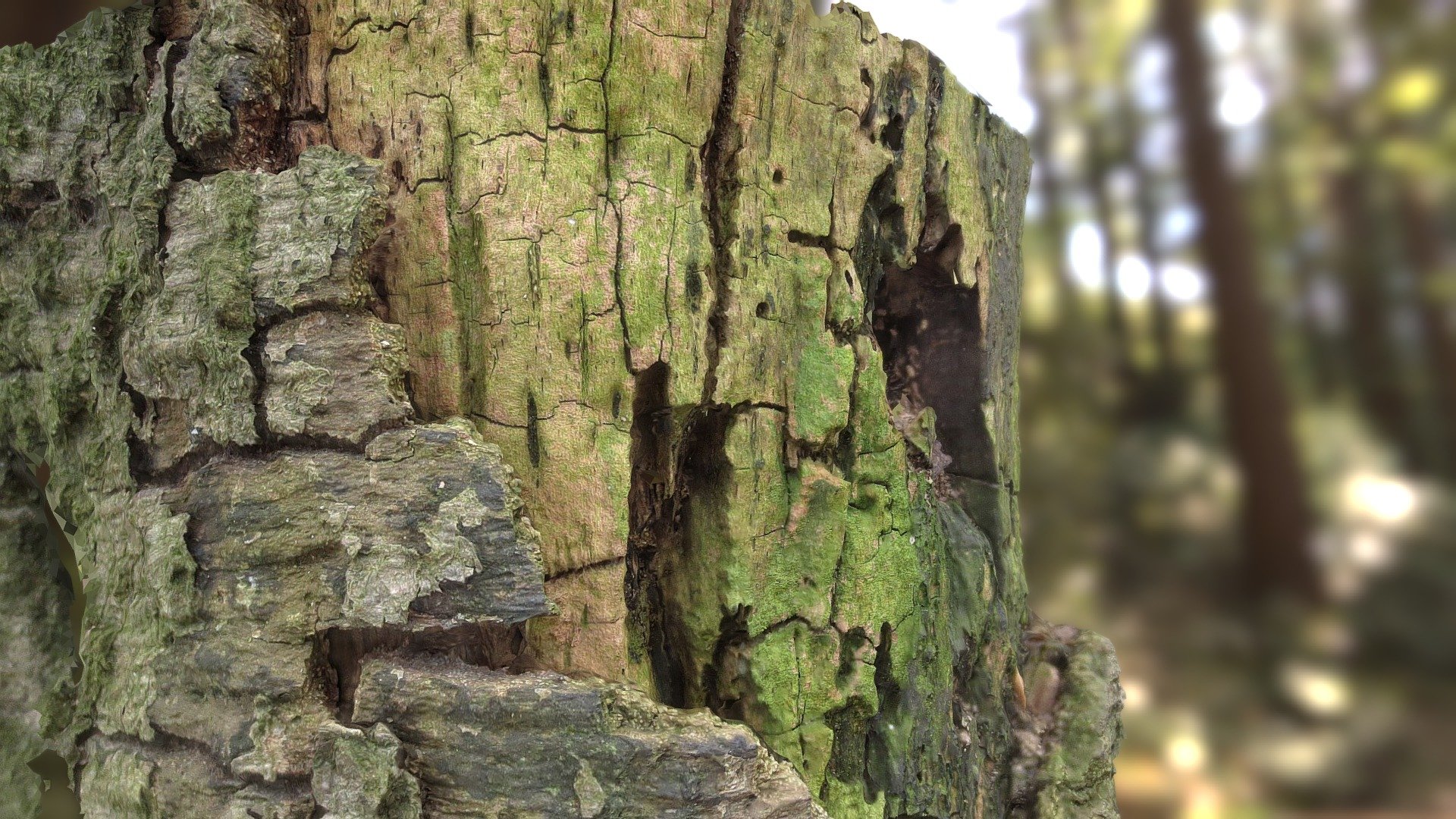 Dead Tree Part FREE - Download Free 3D model by roxyjungle [fde0dca ...