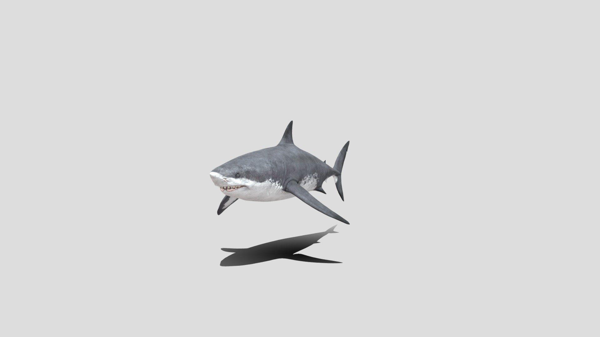 Megalodon - 3D model by BlackDragonGaming [fde3e04] - Sketchfab