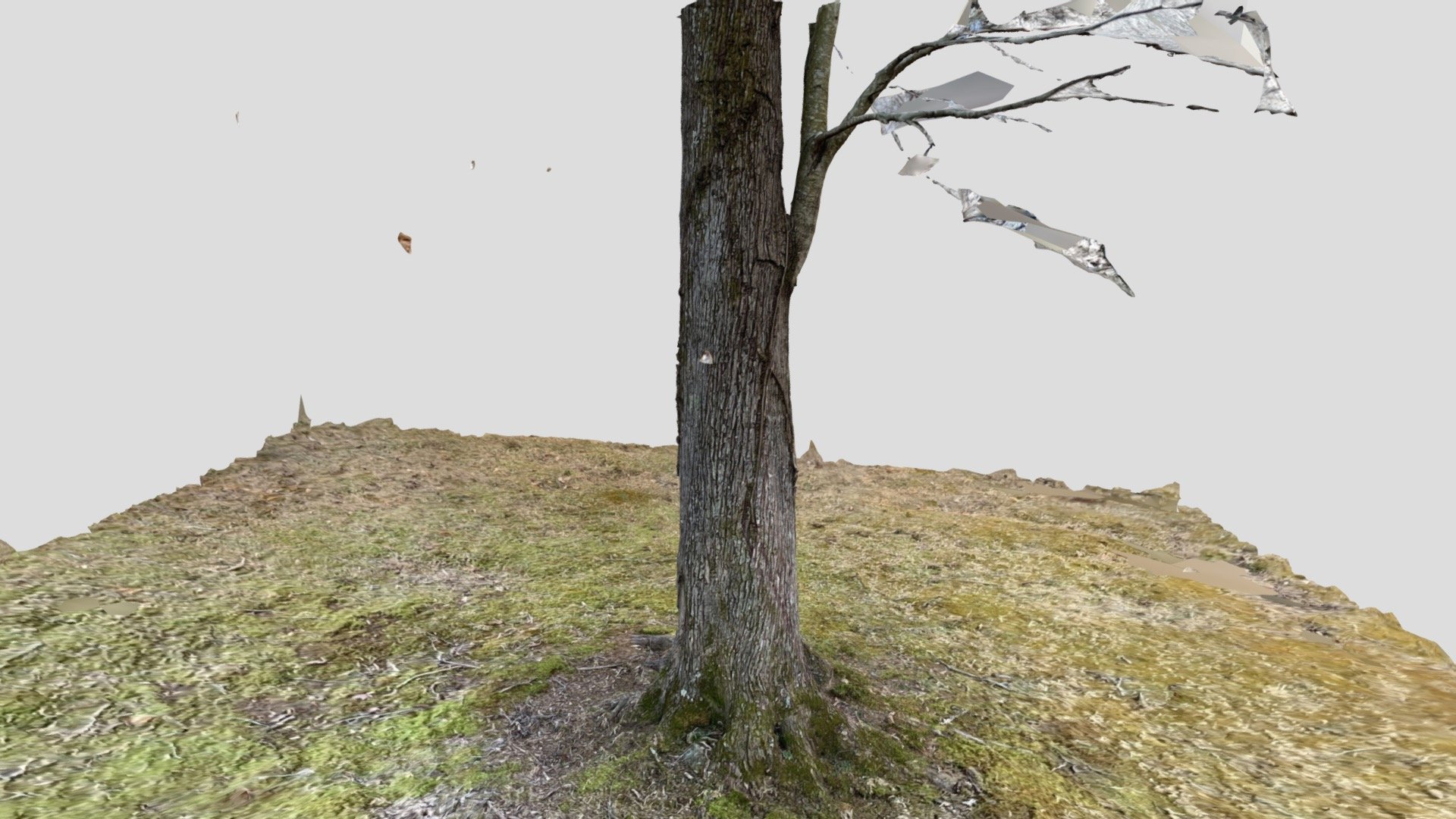 Tree - Download Free 3D model by triphoppin [fde6145] - Sketchfab