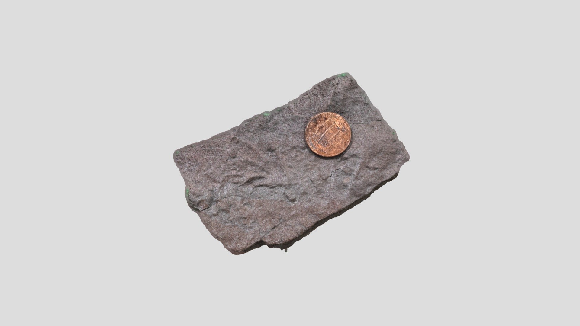 Rhynchosauroides single track - Download Free 3D model by bslibeck ...