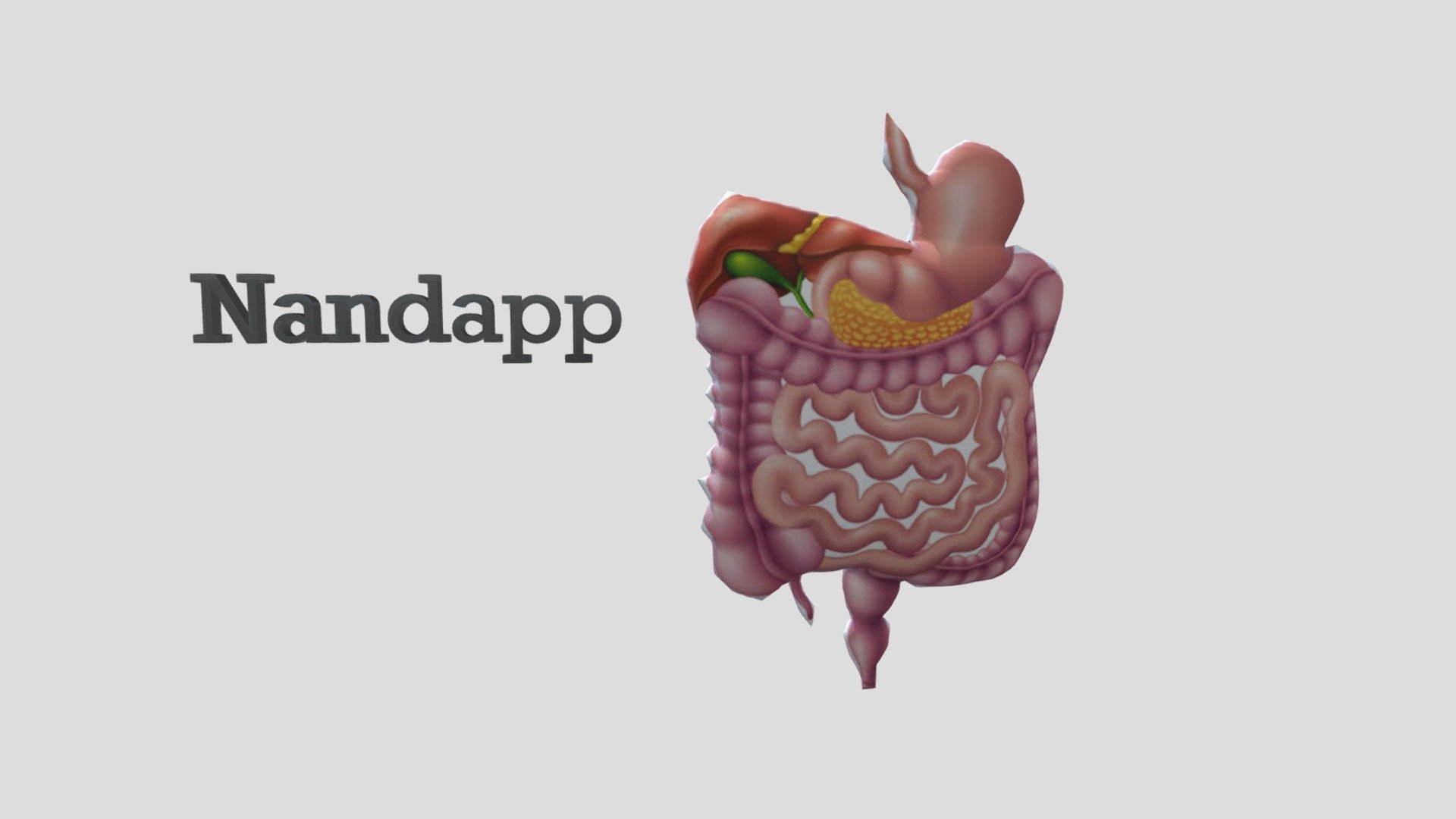 Organ (NP) - 3D model by Nandapp [fdfaad9] - Sketchfab