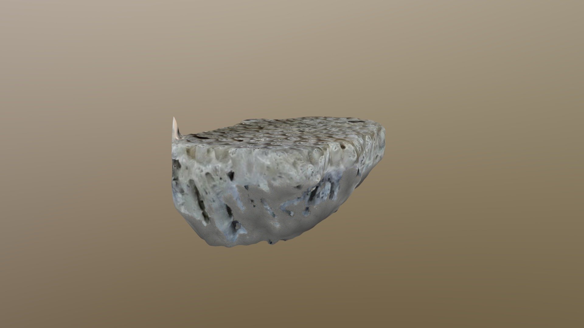 New Qlone - 3D model by Digital Learning (@digitallearning) [fe03249 ...