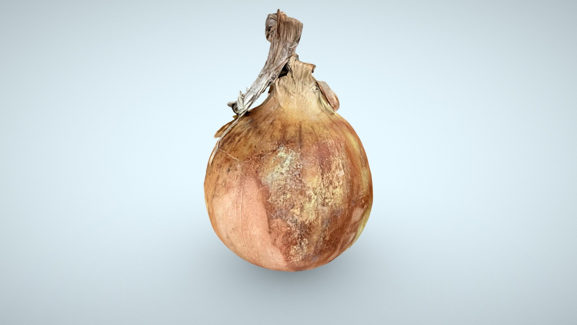 Onion - 3D model by rewachholz [fe0adfa] - Sketchfab