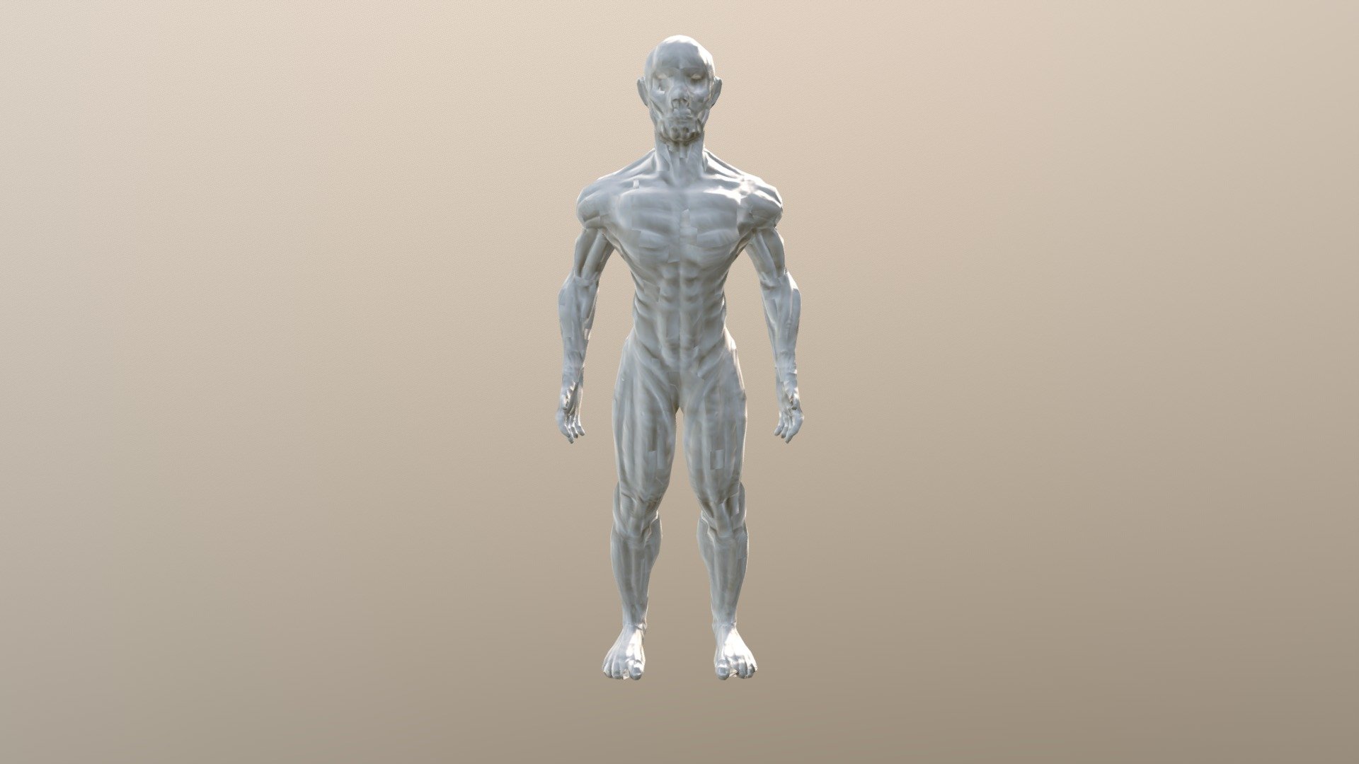 Body - 3D model by Moli (@molicat) [fe13ddf] - Sketchfab