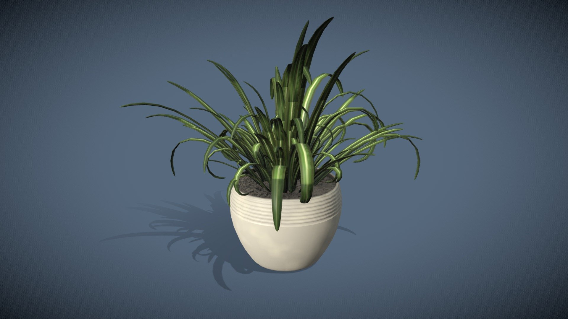 Spider Plant - 3D model by valentiv [fe16121] - Sketchfab