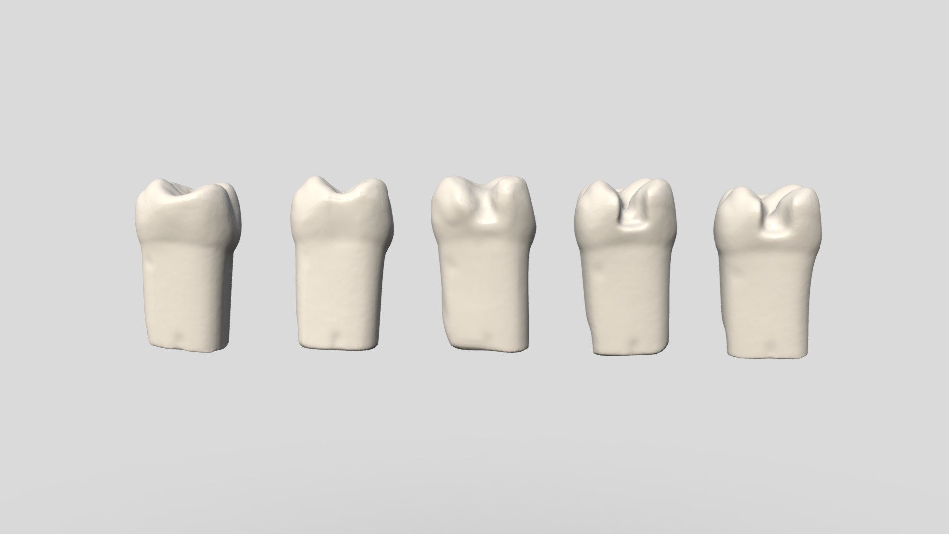 Virtual States of Teeth - 3D model by AUinnovation [fe18130] - Sketchfab