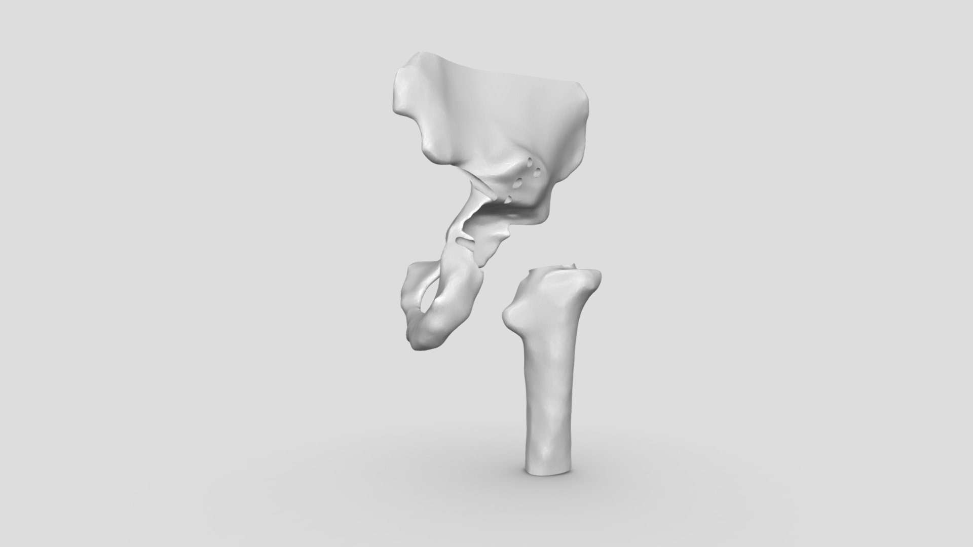 Hip m - 3D model by Qubx.3D (@mostafas) [fe1f1ca] - Sketchfab