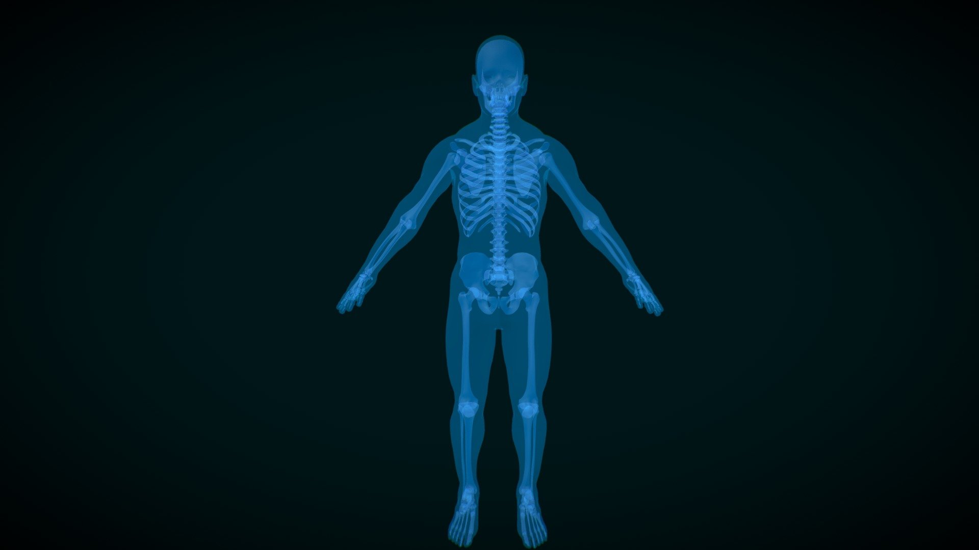 Man 03 - 3D model by EEPresentation [fe28b75] - Sketchfab
