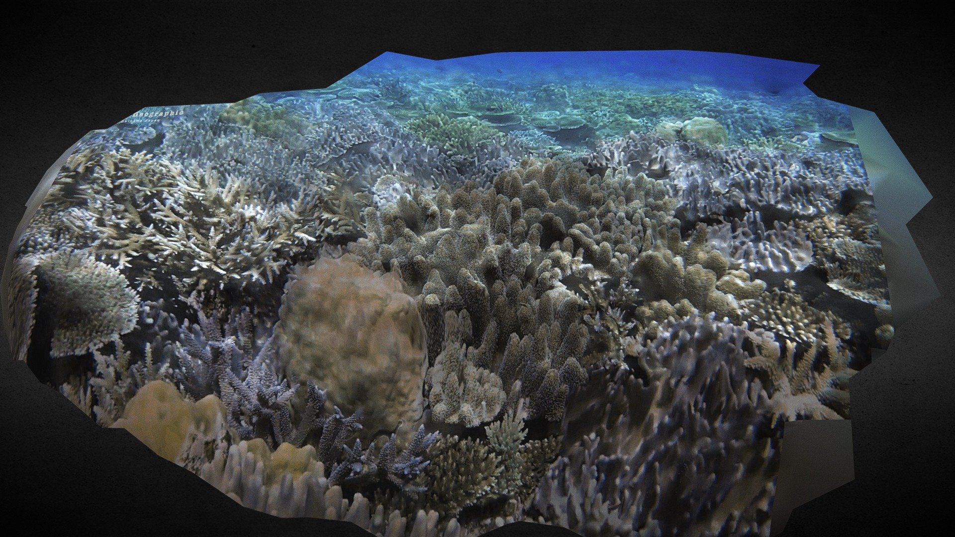 JP Reef - 30pic @500ms - 3D model by Drone-Services.Biz (@MKSZ ...