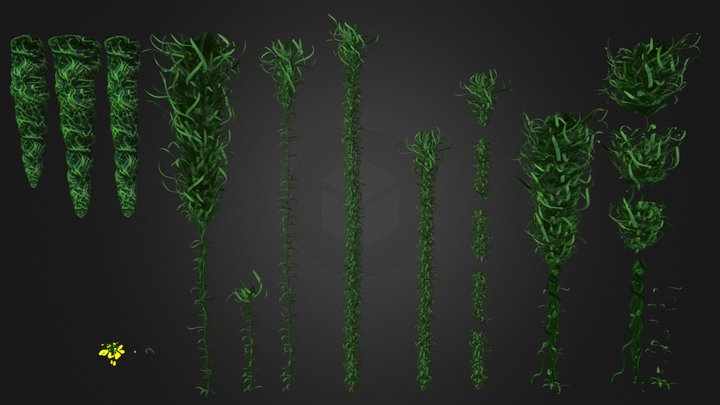 Vine 3D models - Sketchfab