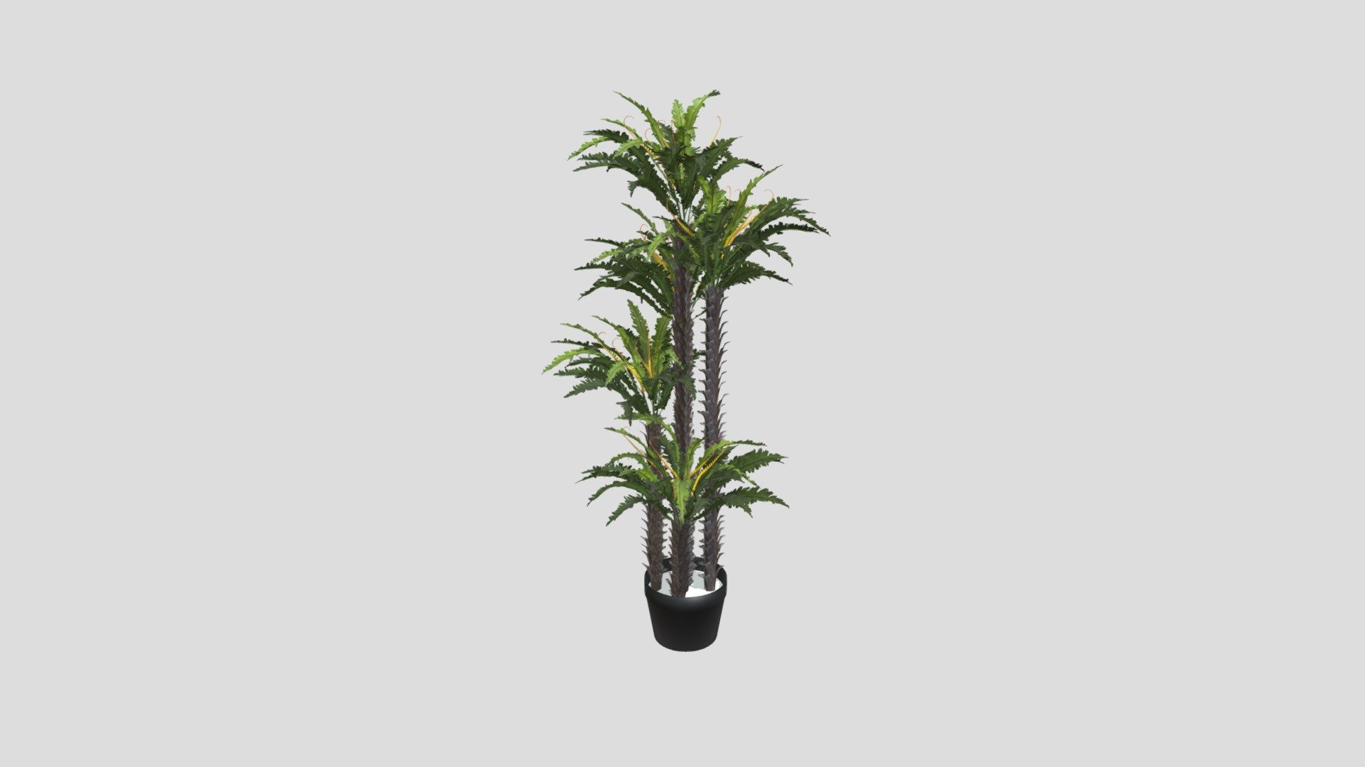 Artificial tree Fern - 3D model by slavik_dsgn [fe3f6e6] - Sketchfab
