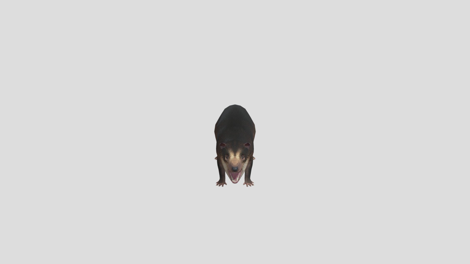 HD Didelphodon - Download Free 3D model by Modbuff (@CGreature ...