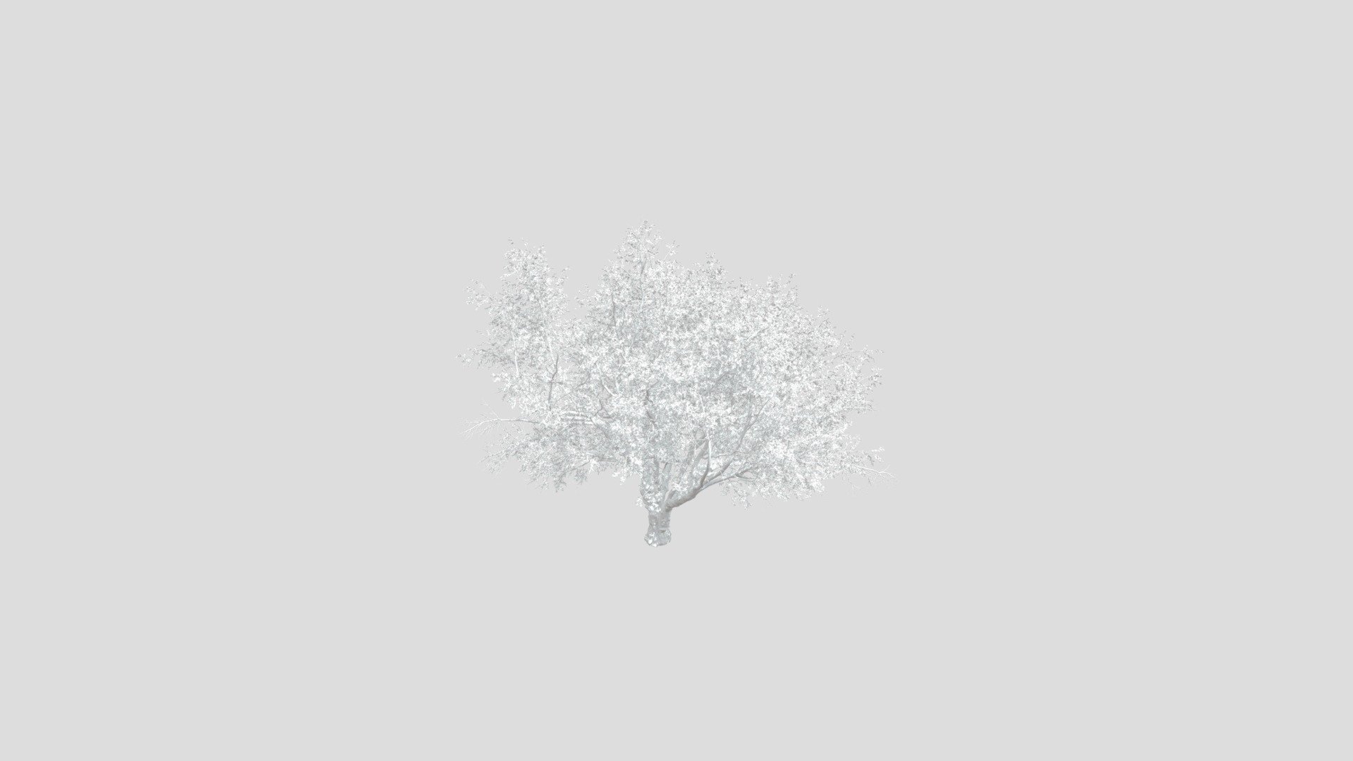 California Bay Laurel Set - 3D model by 114514znl [fe540af] - Sketchfab
