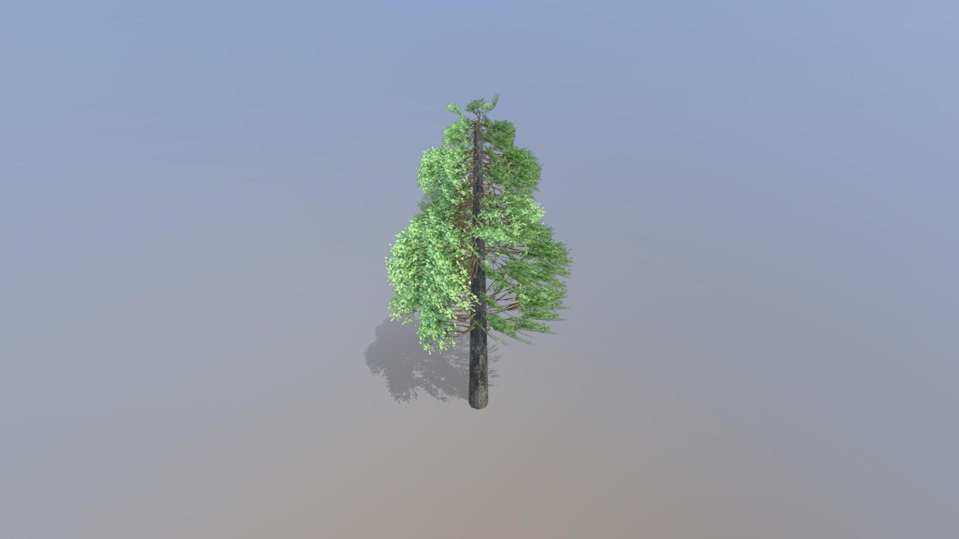 Low Poly Tree Model - 3D model by omkar.jawake [fe54c07] - Sketchfab