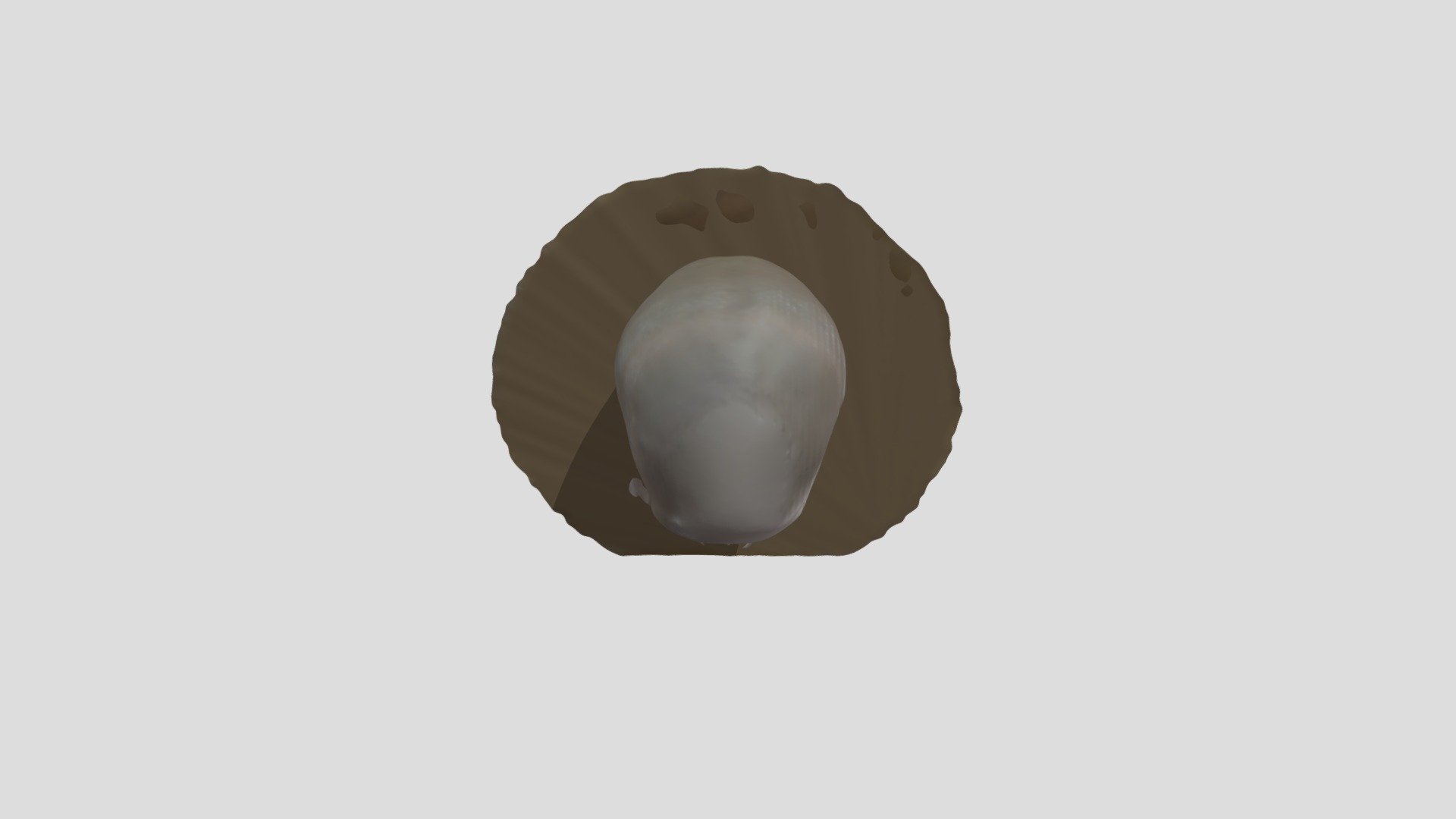3D Skull Scan - 3D model by BUlearningtech [fe61932] - Sketchfab
