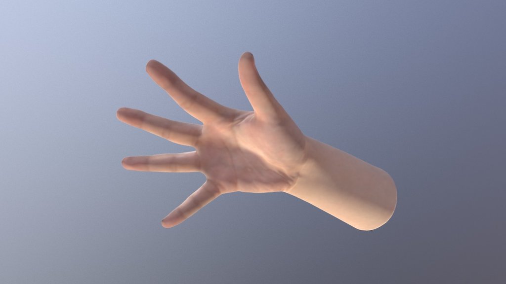 Open hand - 3D model by Hydro3D Solution (@try) [fe6b180] - Sketchfab