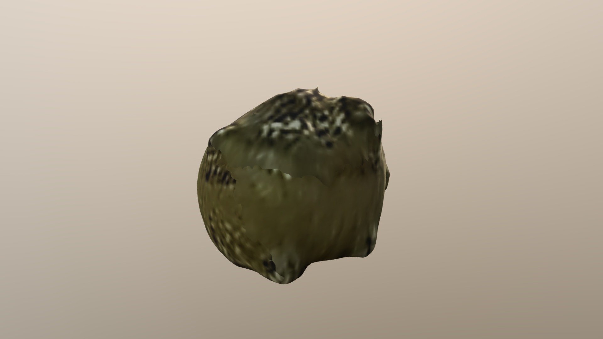 New Qlone - 3D model by HelgaBo [fe6ec3f] - Sketchfab