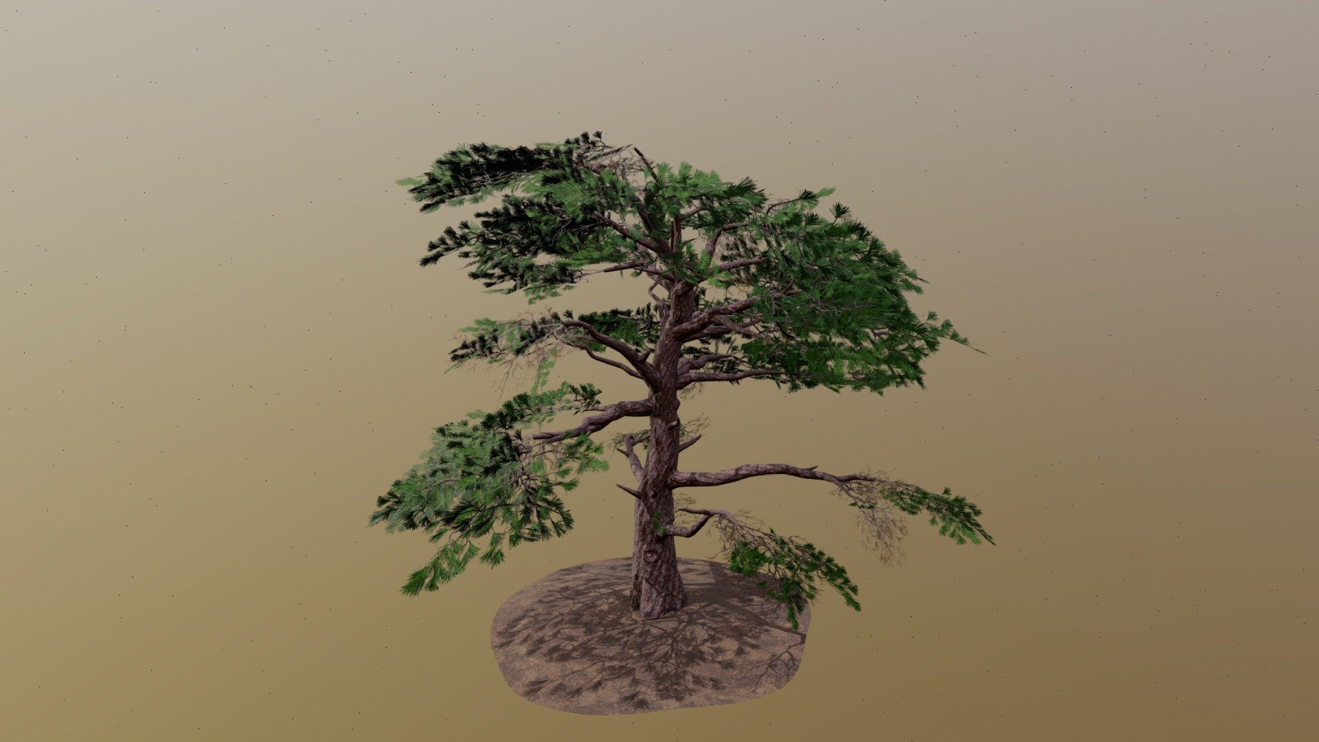 Realistic Pine Tree - 3D model by Nice2meetU2 [fe786c7] - Sketchfab