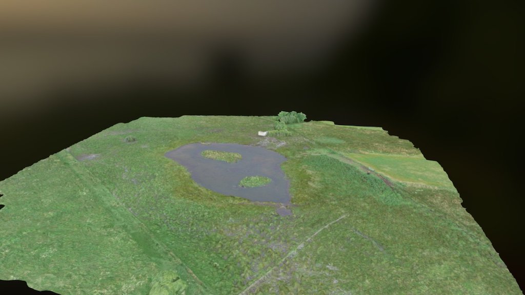 august 4th Survey-Pond Area-3D mesh - 3D model by americo17 [fe792cd ...