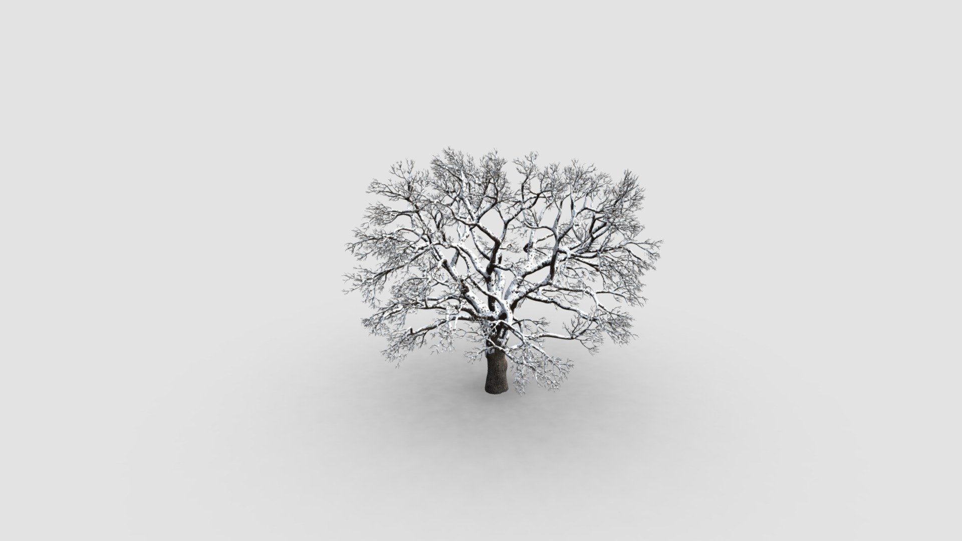 oak tree - Buy Royalty Free 3D model by Evermotion [fe7a0f4 ...