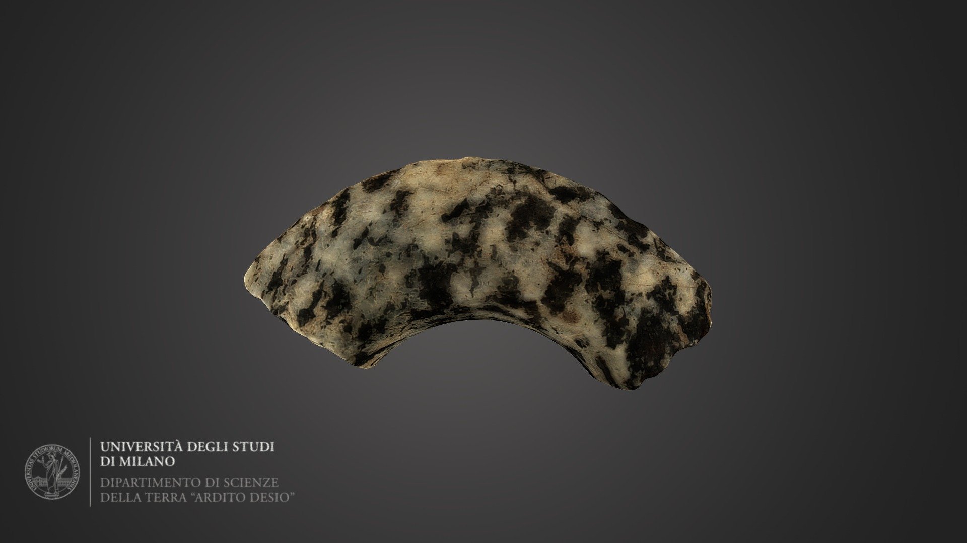 Fragment of a Neolithic ring bracelet - 3D model by Department of Earth ...