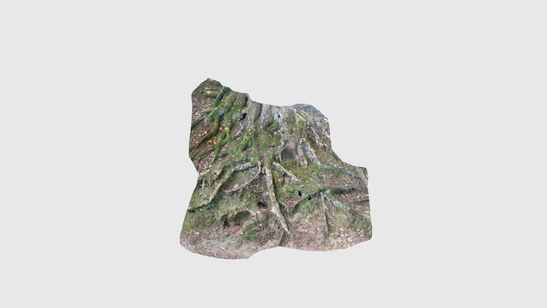 Tree roots - 3D model by Malakai [fe7d2ae] - Sketchfab
