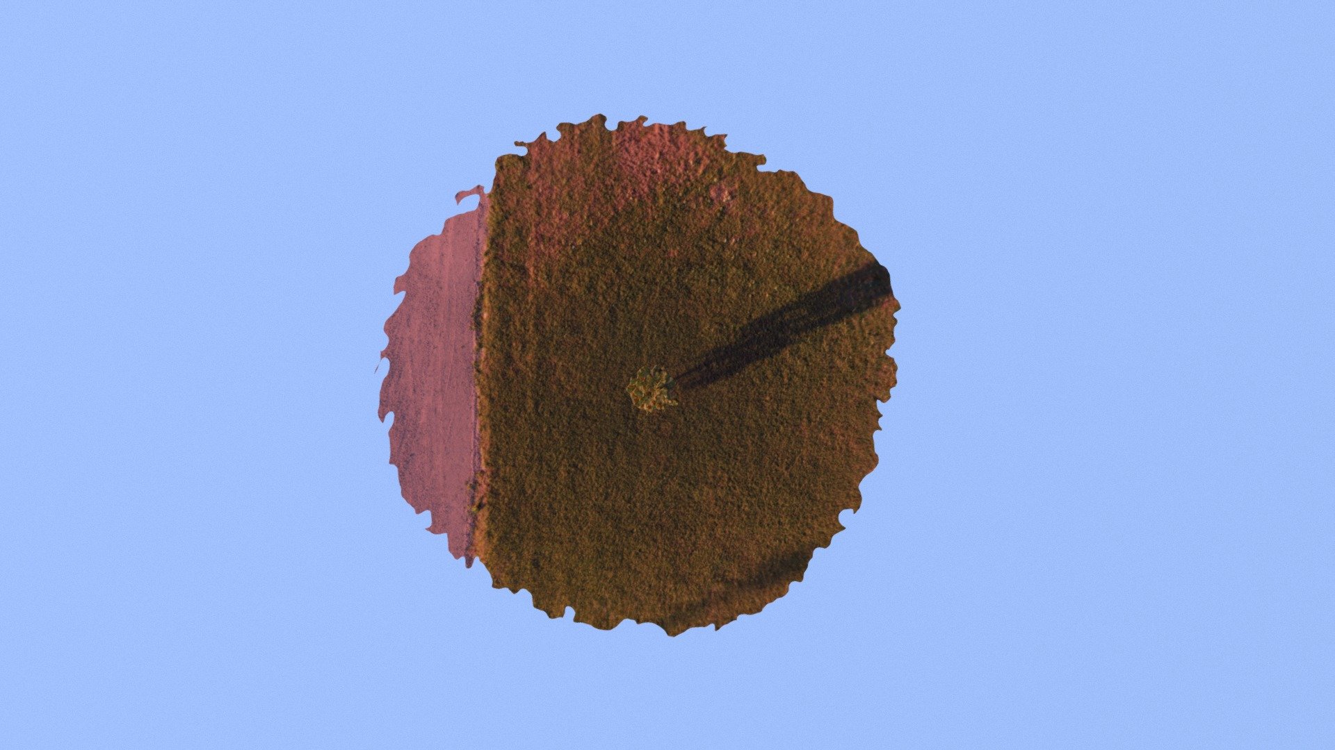 Small Pine Tree Simplified 3d Mesh - 3D model by Local18Operator ...