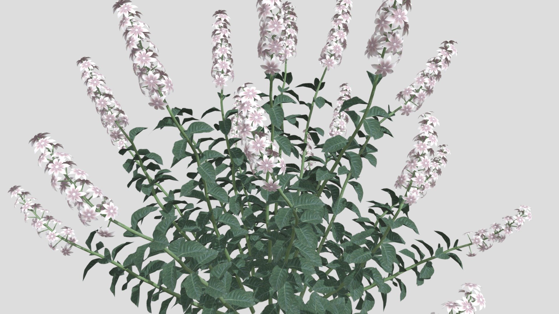 Buddleia Flower 3d Model - Buy Royalty Free 3D model by KIZILBOGA ...