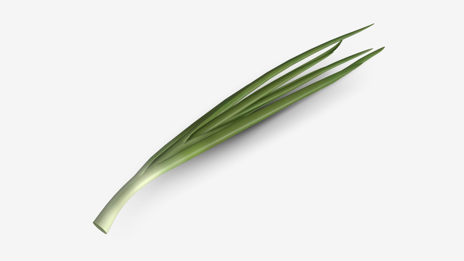 Spring onions 02 - Buy Royalty Free 3D model by HQ3DMOD (@AivisAstics ...