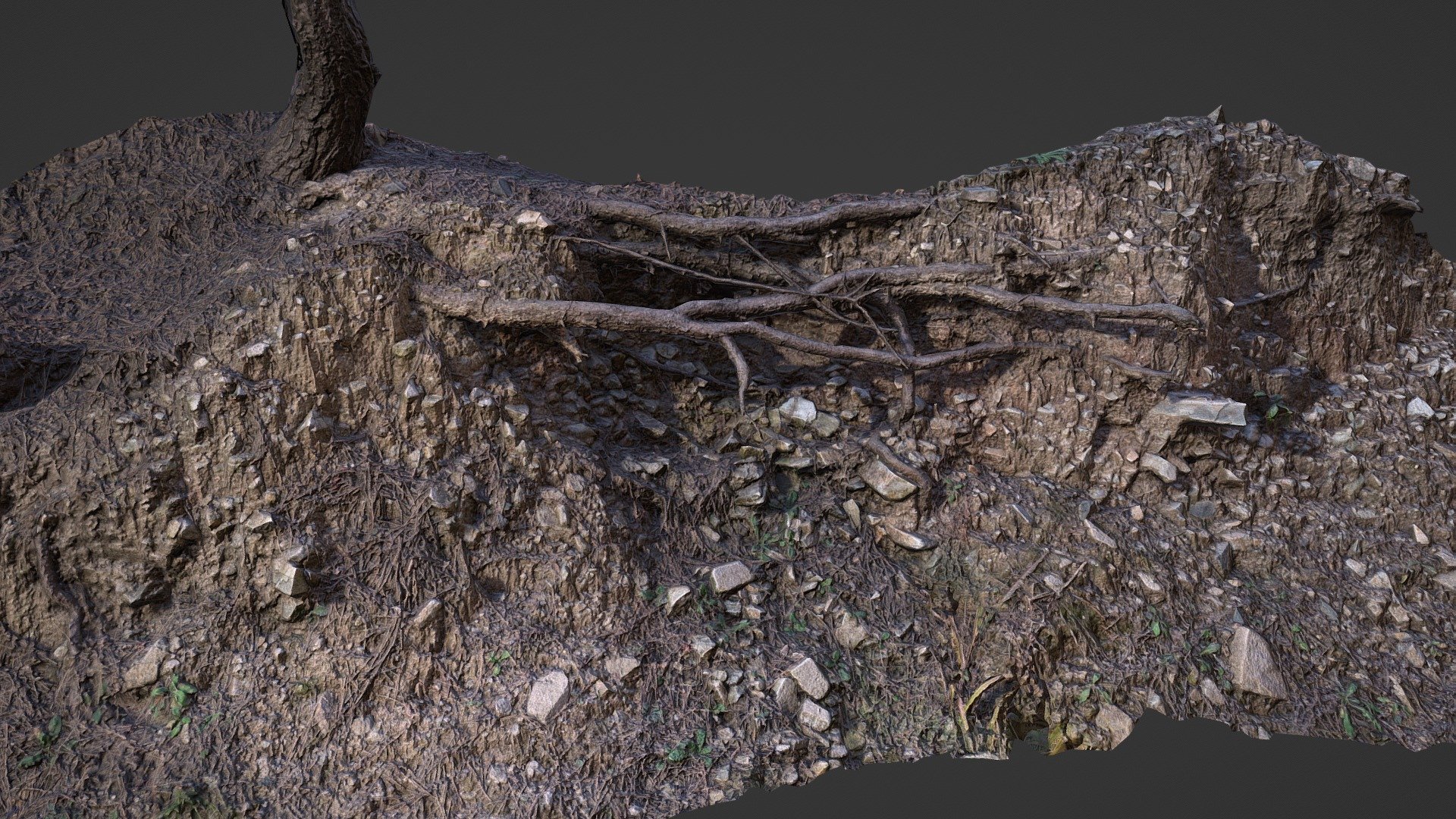 Embankment pine forest 2 - Download Free 3D model by SibeYu [fe84b78 ...