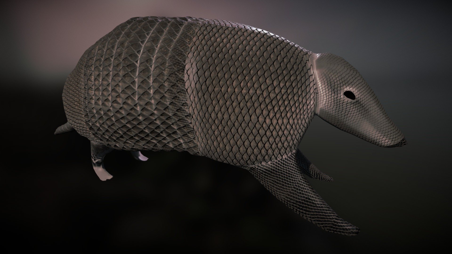 Armadillo Model - 3D model by nurulu [fe8da72] - Sketchfab