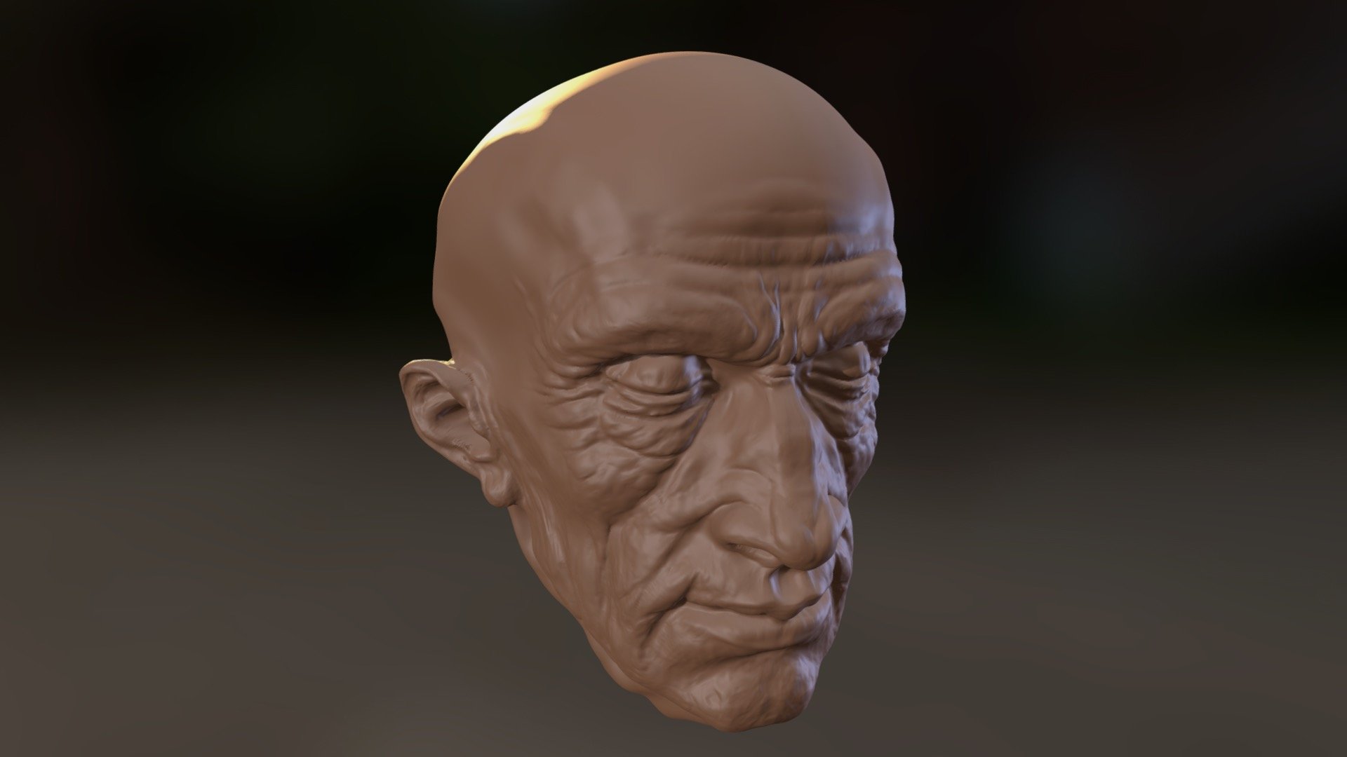 Head - 3D model by buzuk [fe8fa45] - Sketchfab