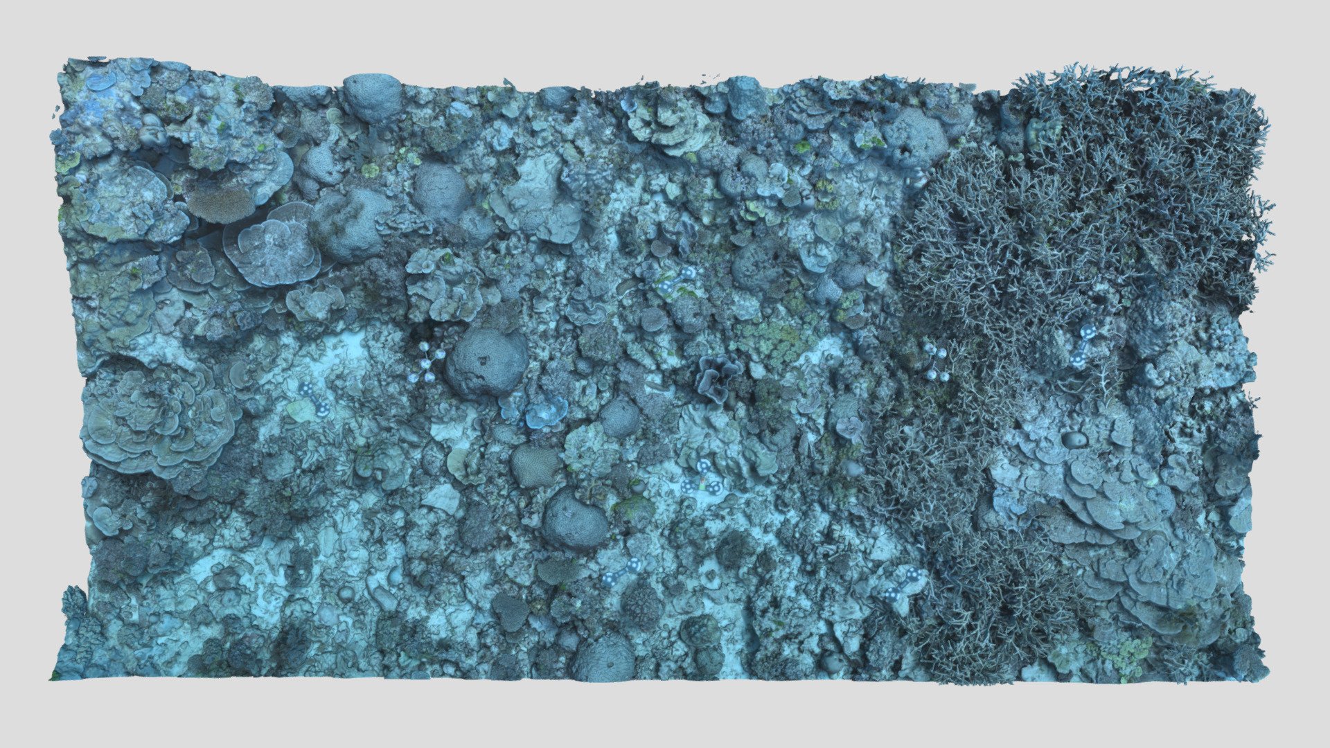 Heron_FR1D_P3_202305 - Download Free 3D model by EcoRRAP (@AIMSEcoRRAP ...