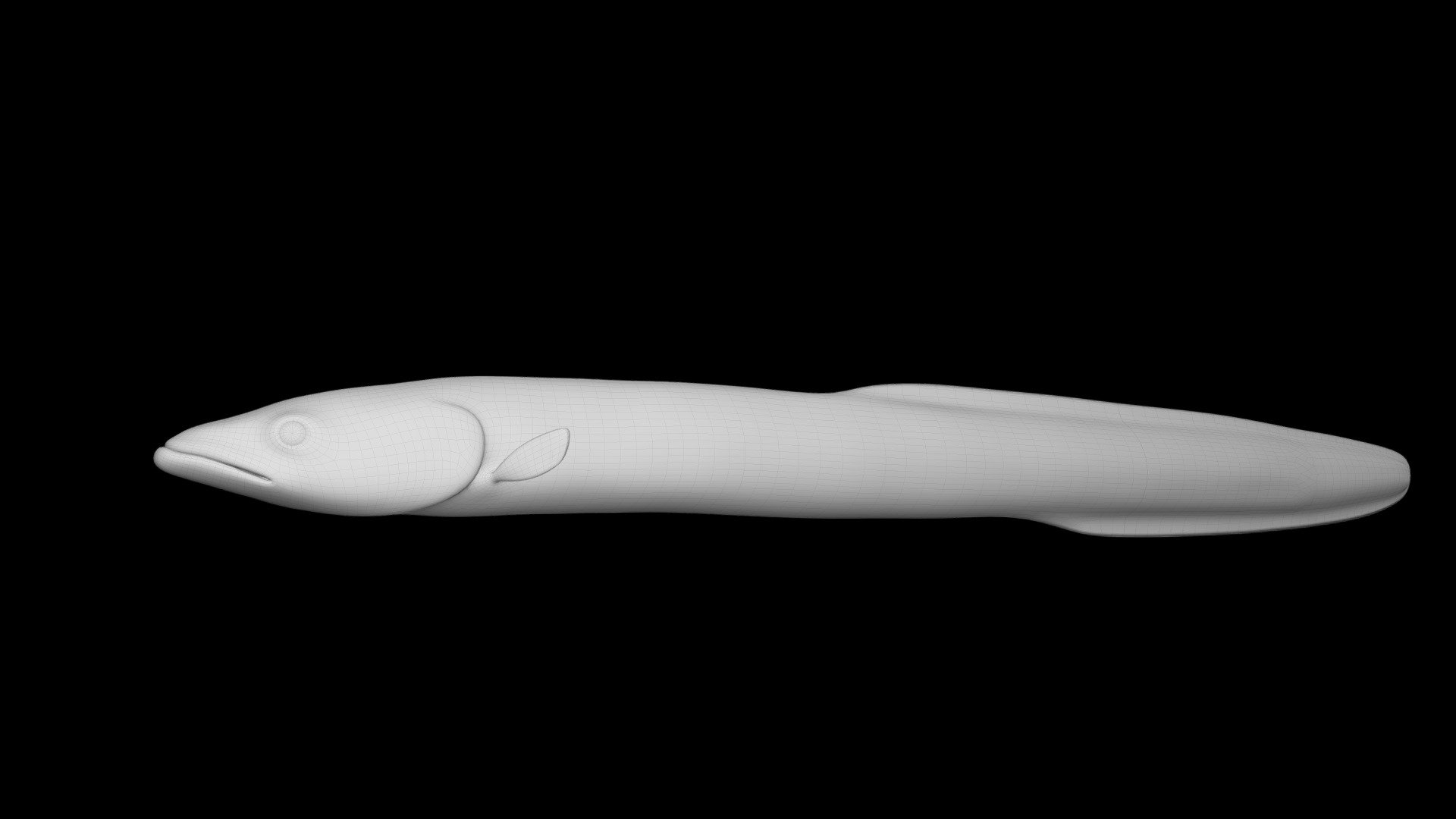 Model 71B - American Eel Mesh - Download Free 3D model by DigitalLife3D ...