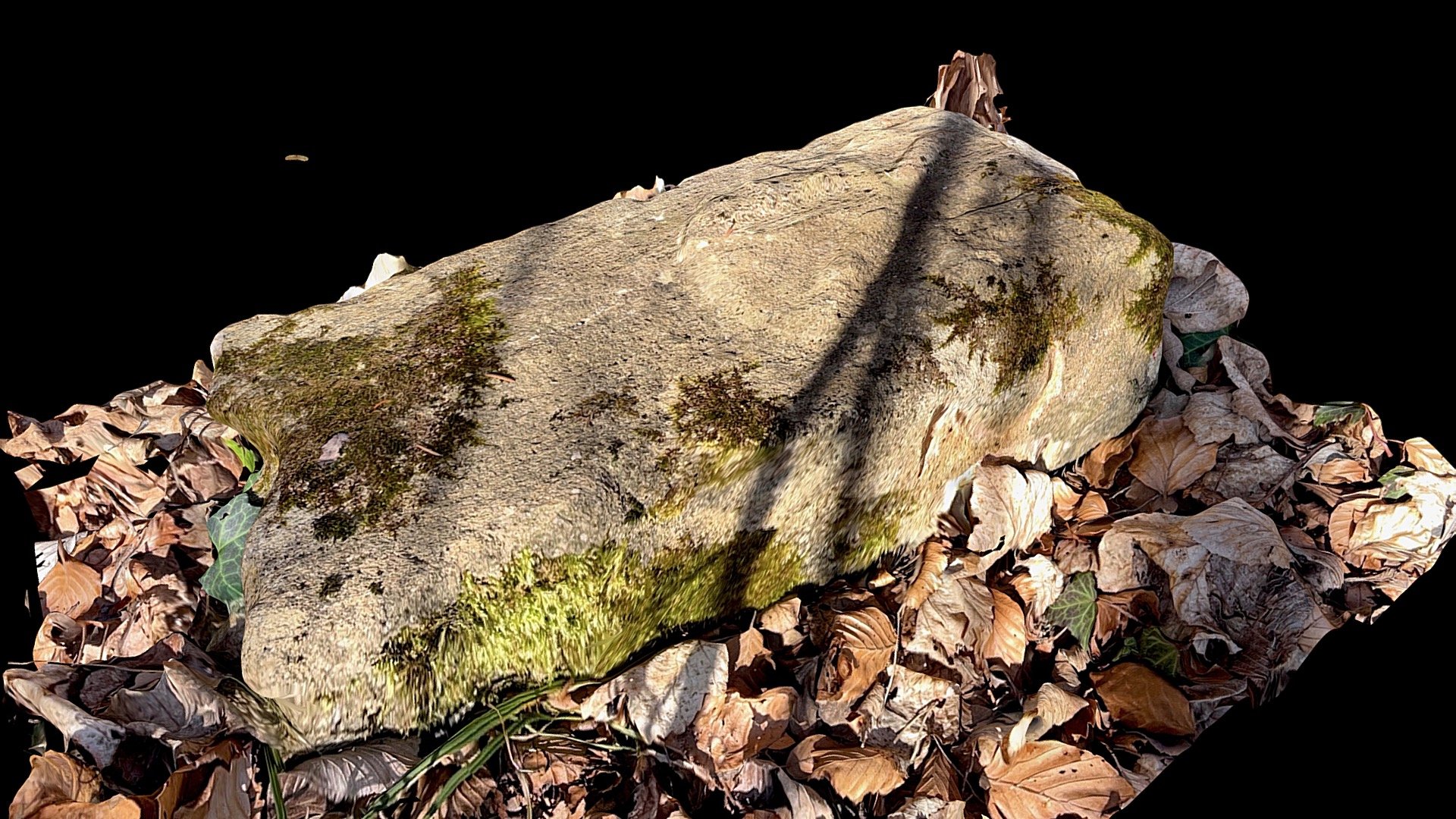 borNE.FVSA-NEUC.ar - Download Free 3D model by clwacker [fe98380 ...