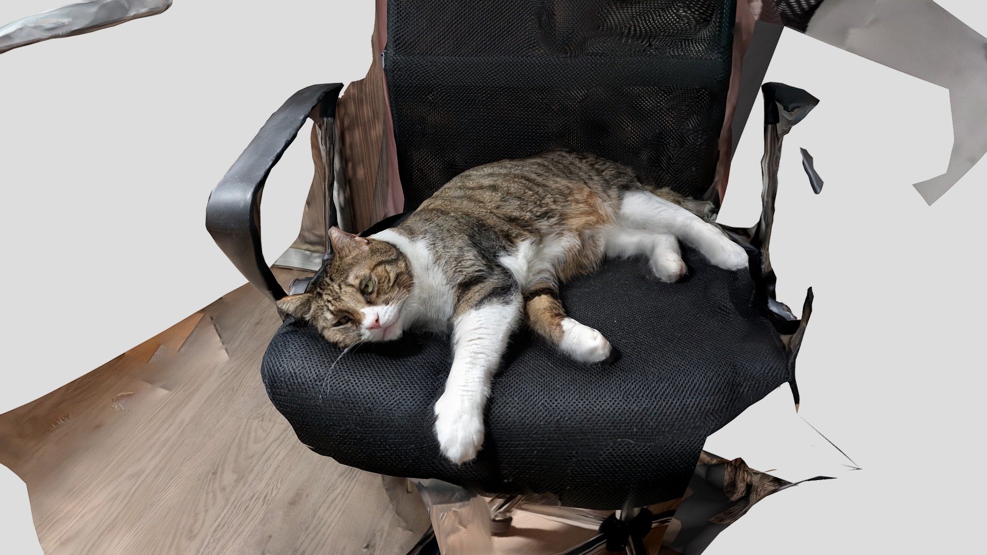 Sleepy 😺 cat - 3D model by dmk (@.-_) [fe9a191] - Sketchfab
