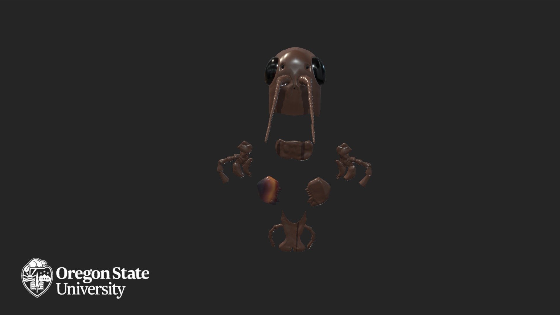 Grasshopper mouth parts - WIP - Download Free 3D model by Oregon State ...