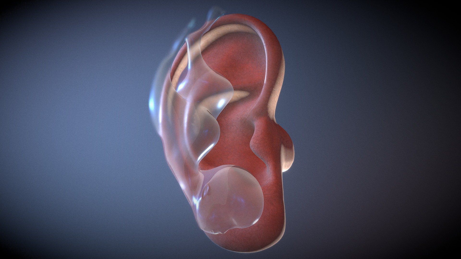 EAR_e_Baby_e_Pose_03_freeze_toSketchfab - 3D model by jamieyeh2022 ...