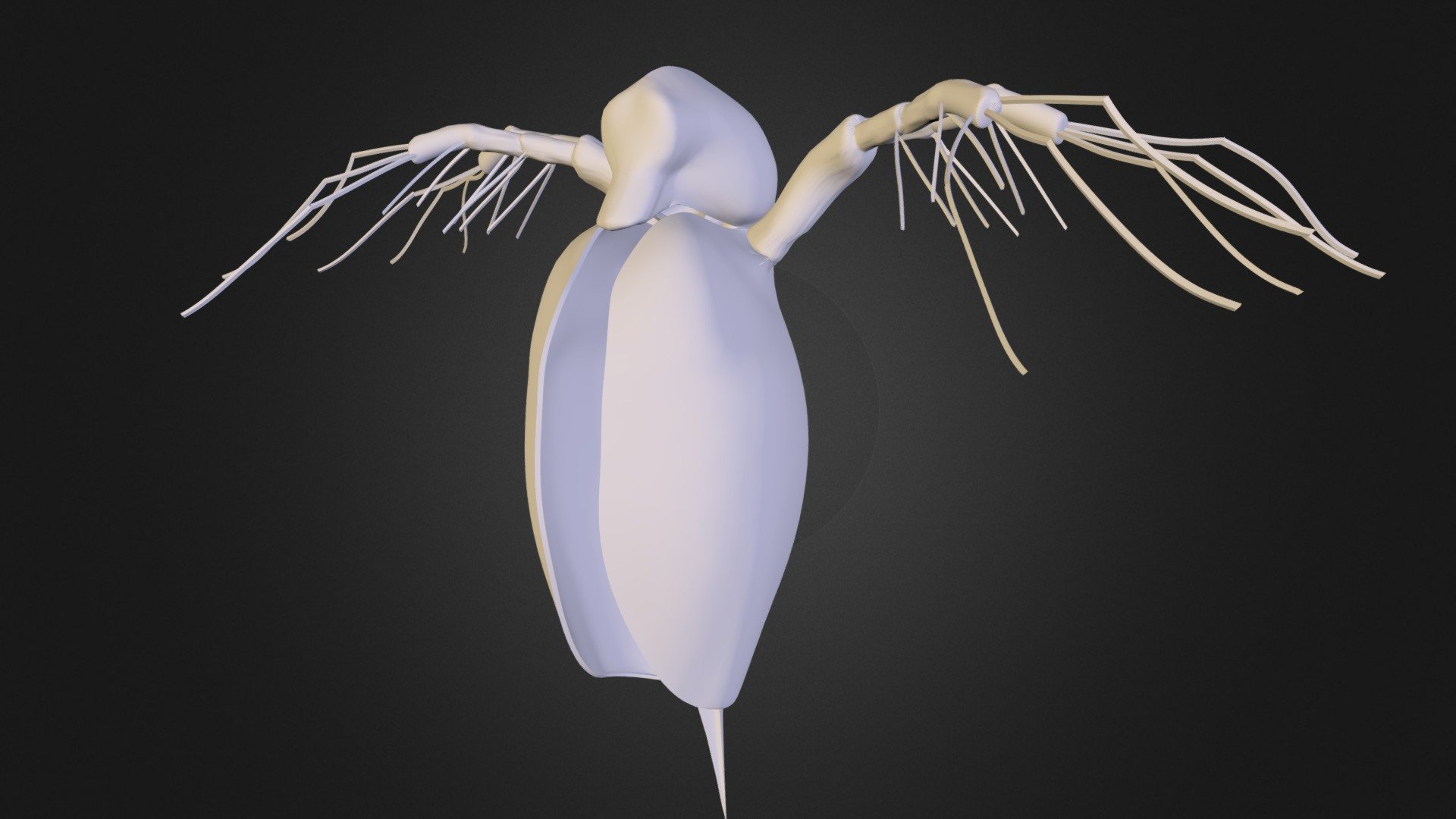 daphnia - 3D model by Mieke Roth (@miekeroth) [feBN6xj] - Sketchfab