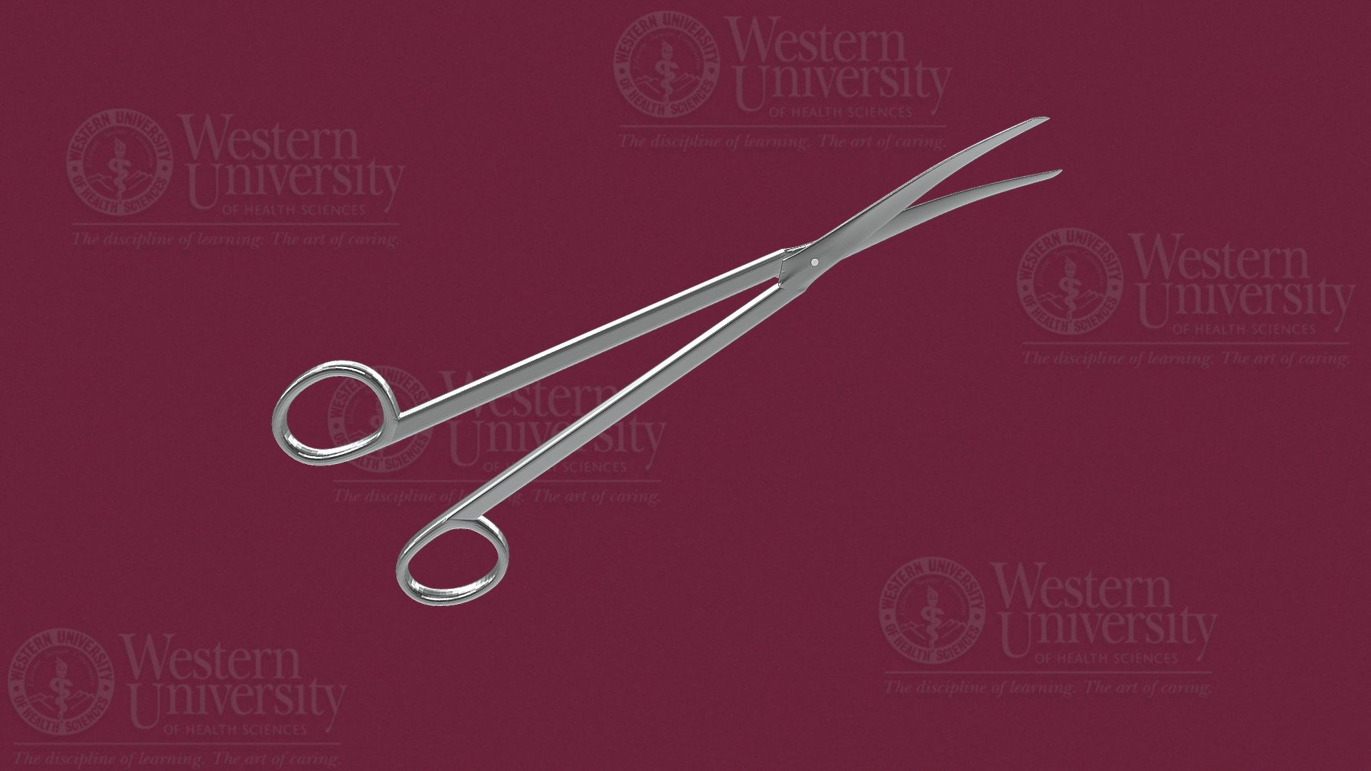 300339_metz_scissor-1230 - 3D model by WesternU3D [fea60fe] - Sketchfab