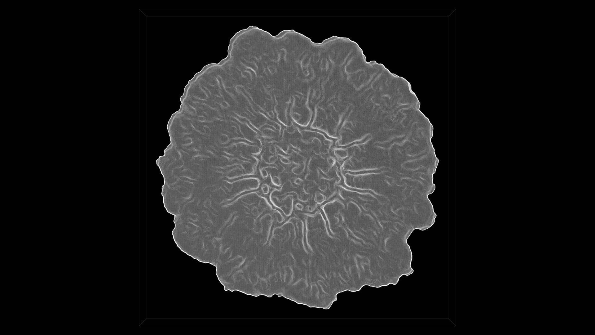 1079 Bacillus subtilis without back surface - 3D model by Crystal ...
