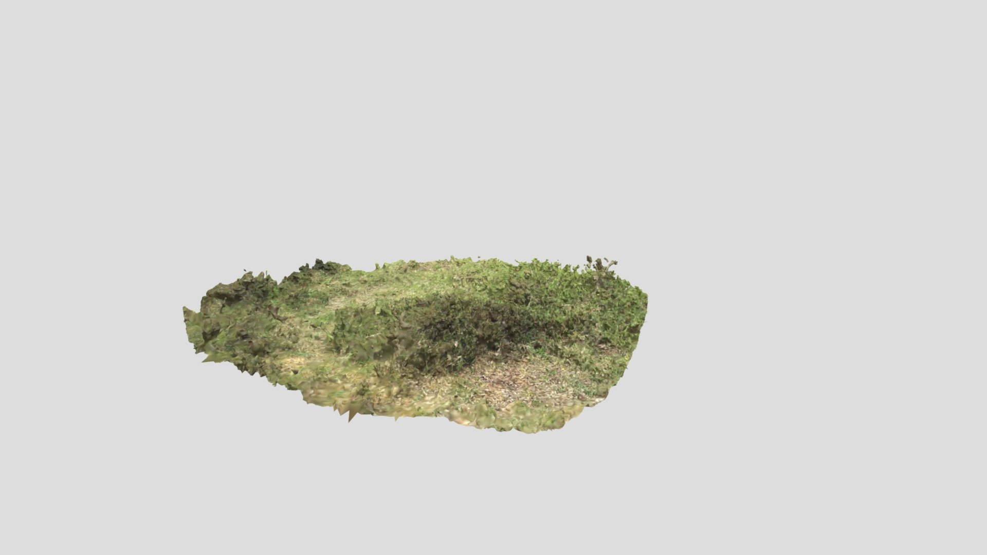 Microecosystem heath and sand dunes - 3D model by Karsten Damerau ...