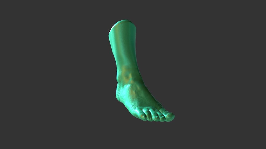 Artec Eva : Foot scan - 3D model by Albyco [fea755f] - Sketchfab