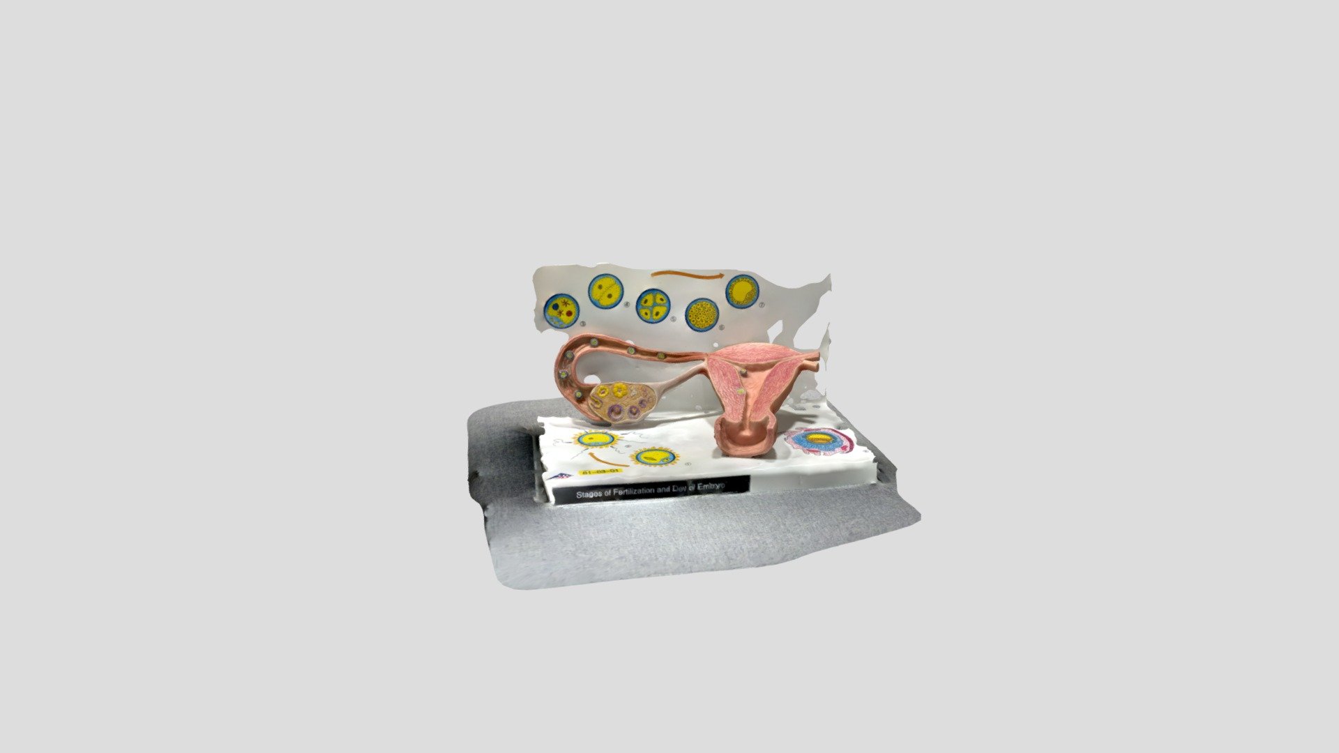 0vary v1 - 3D model by virtual_lab [feab036] - Sketchfab