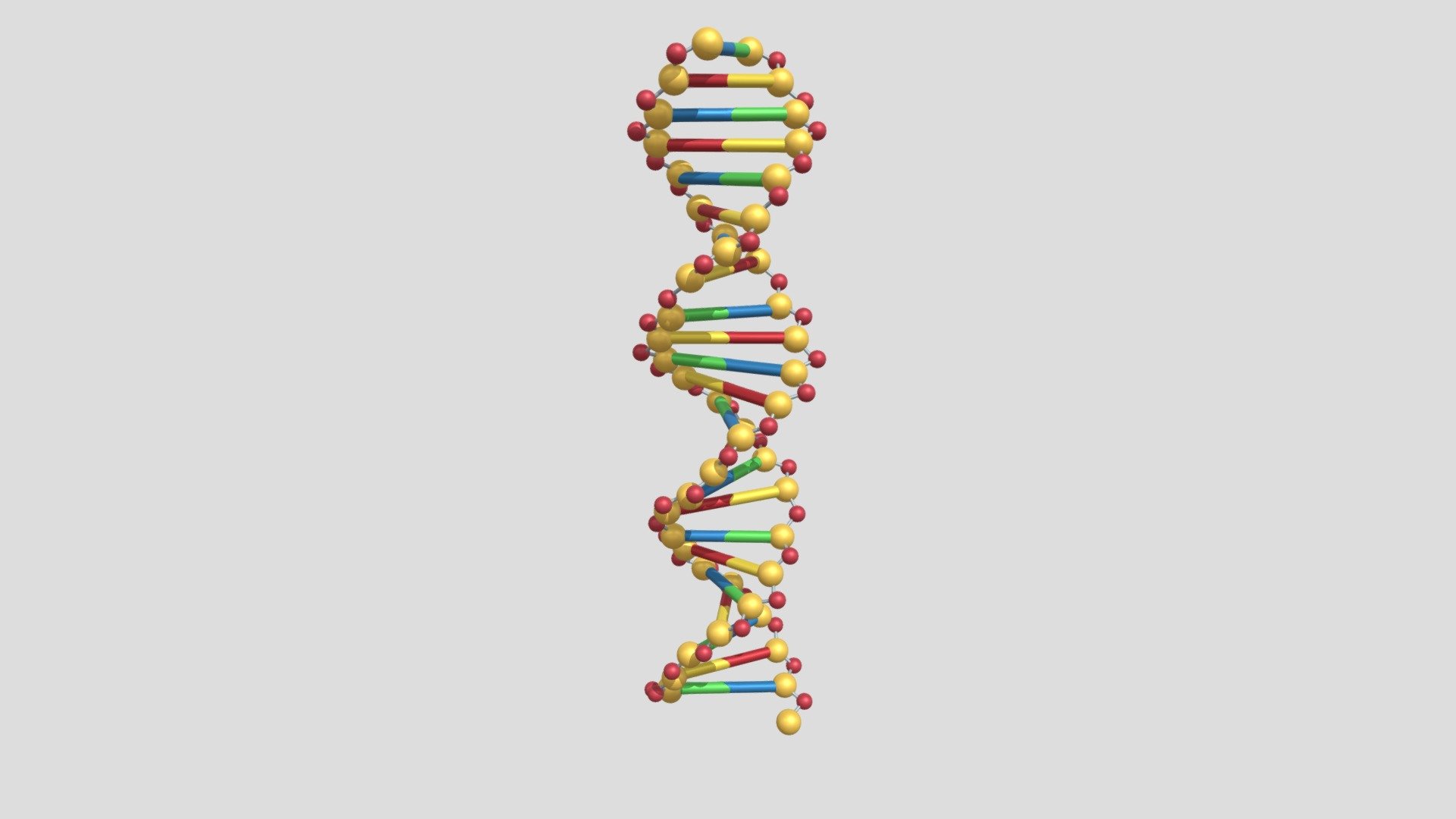 Cadena de ADN-Francina Mocciola - 3D model by frann22 [feaf362] - Sketchfab