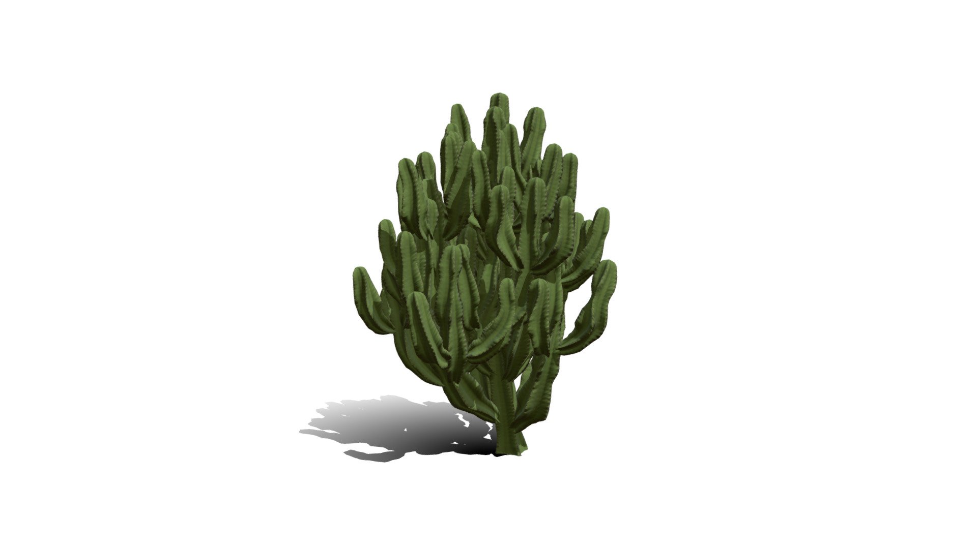 Realistic HD Candelabra tree (27/40) - Download Free 3D model by ...