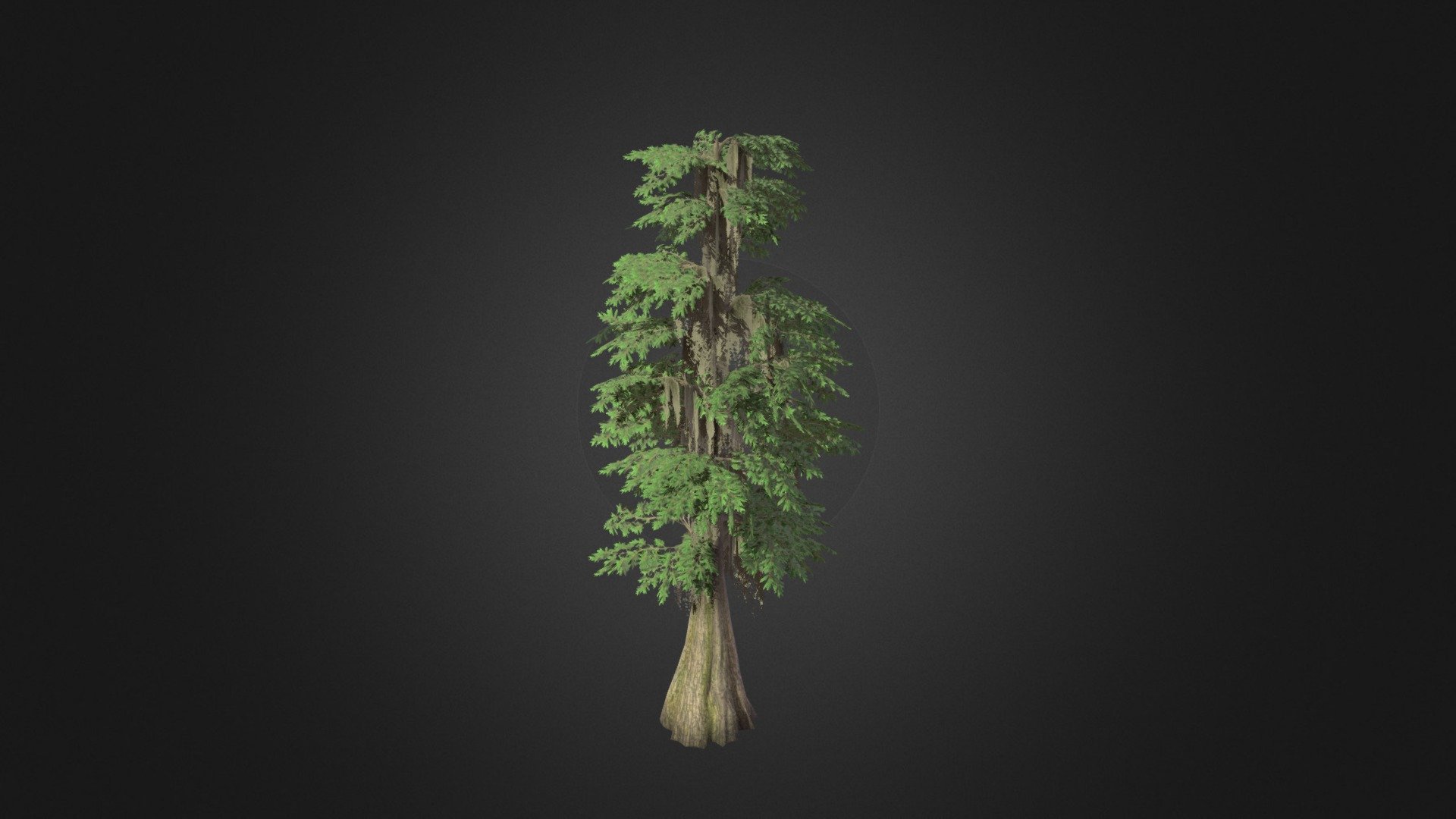 Bald Cypress - Download Free 3D model by BaptisteBerard [feb56a0 ...