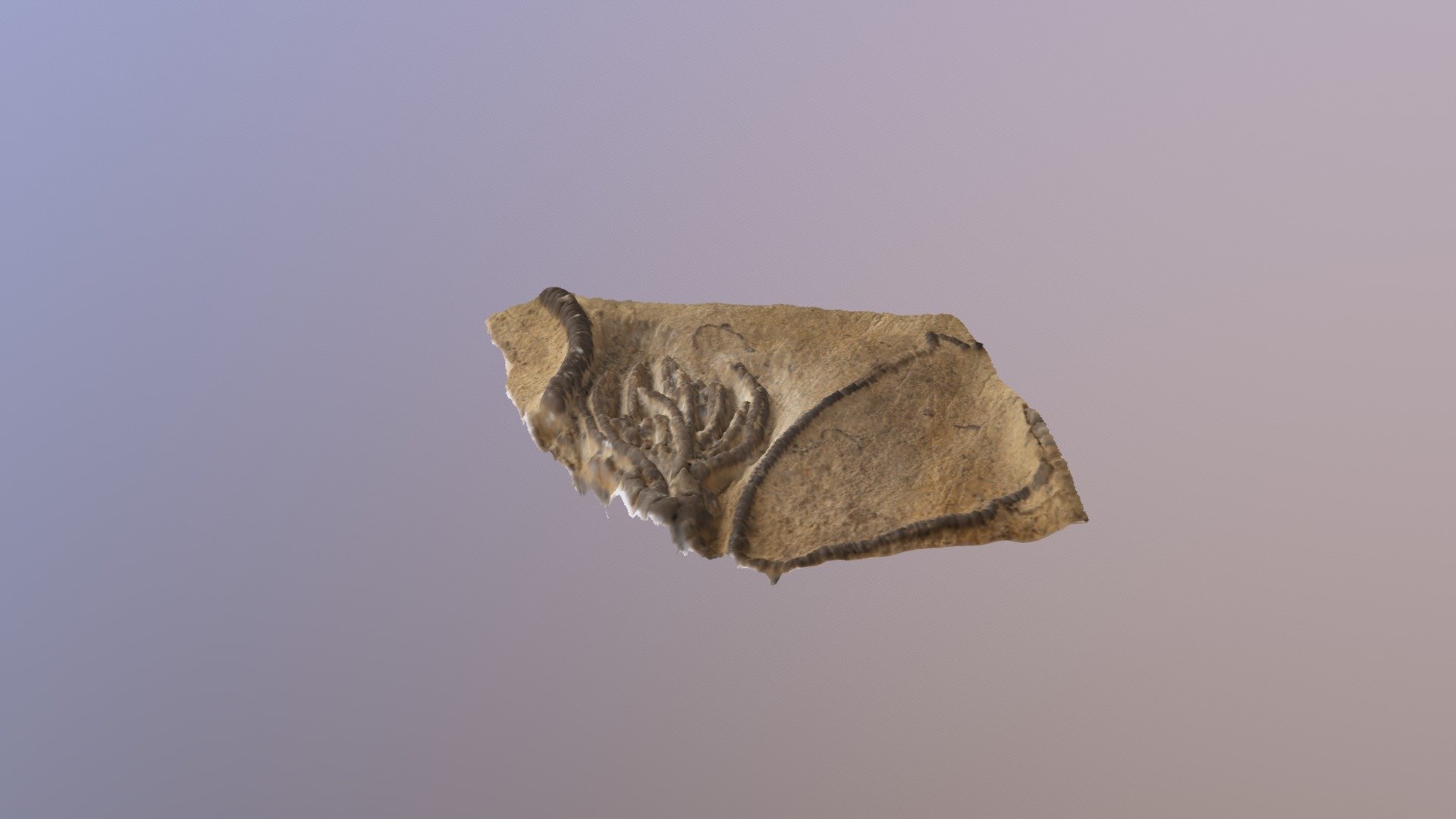 Fossil Sample 1 - 3D model by Queen's University Geodesy and Geophysics ...